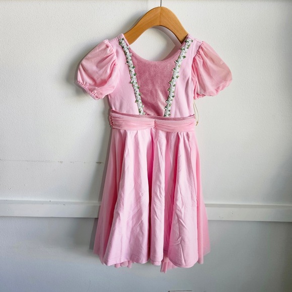 Placard Originals | Dresses | Placard Original Molly Ballet Dance Dress ...